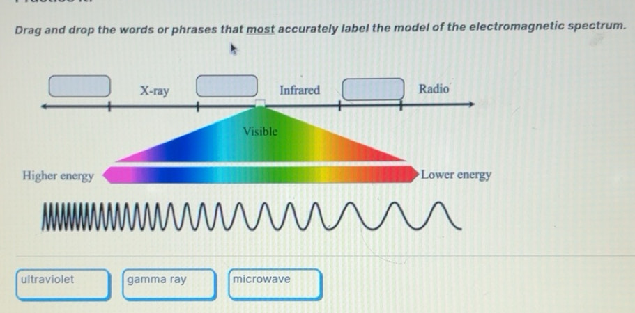 Solved: Drag and drop the words or phrases that most accurately label ...