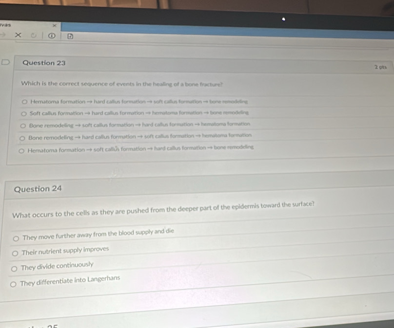 Solved: vas Question 23 2 pts Which is the correct sequence of events ...