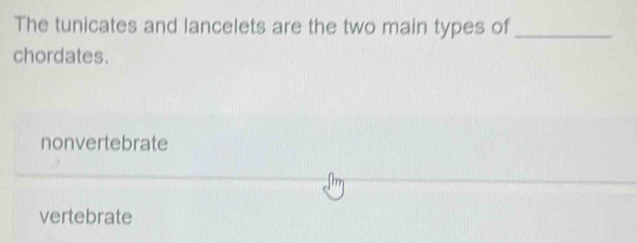 Solved: The tunicates and lancelets are the two main types of ...