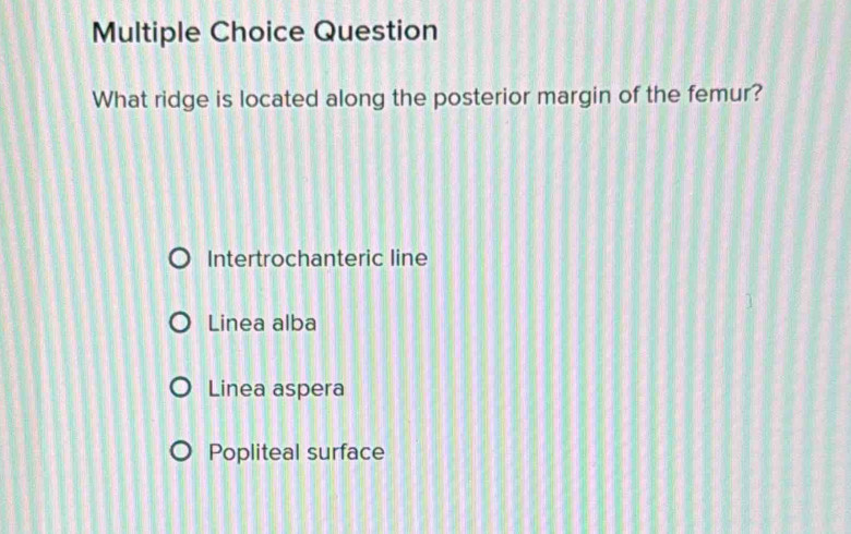 Solved: Question What ridge is located along the posterior margin of ...