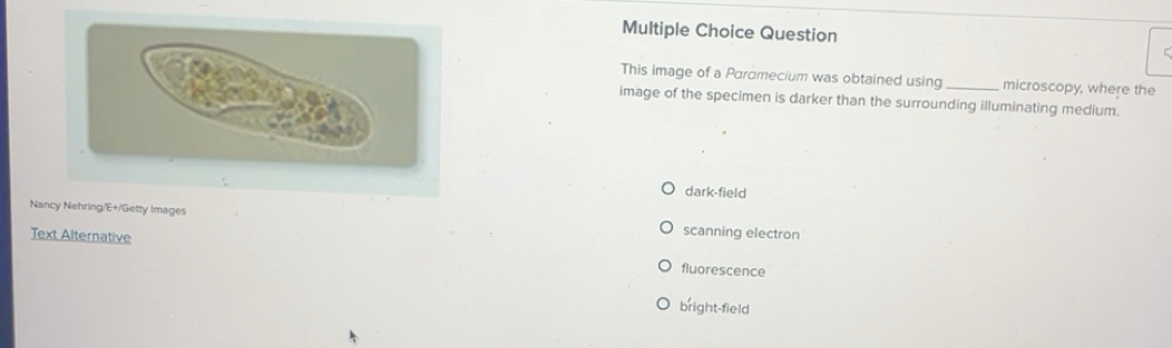 Solved: Question This image of a Pordmecium was obtained using ...