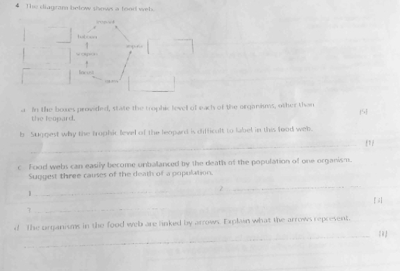 Solved: The diagram below shows a food web. trapaed haboen 1 imp ts ...