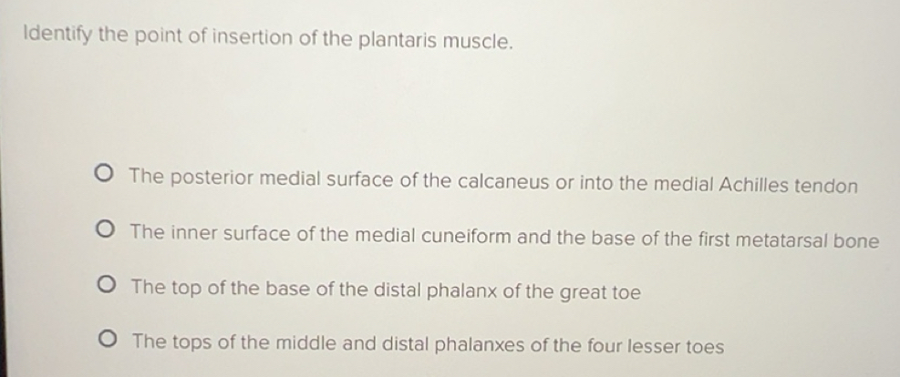 Solved: Identify the point of insertion of the plantaris muscle. The ...