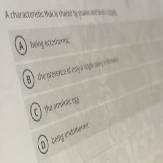 Solved: A characteristic that is shared by snakes and birds is ga. A ...