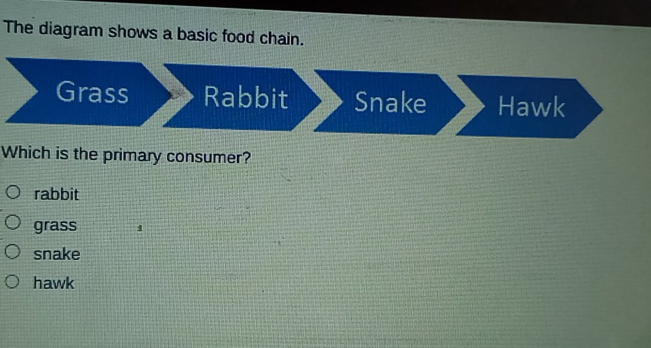 Solved: The diagram shows a basic food chain. Rabbit Snake Hawk Which ...