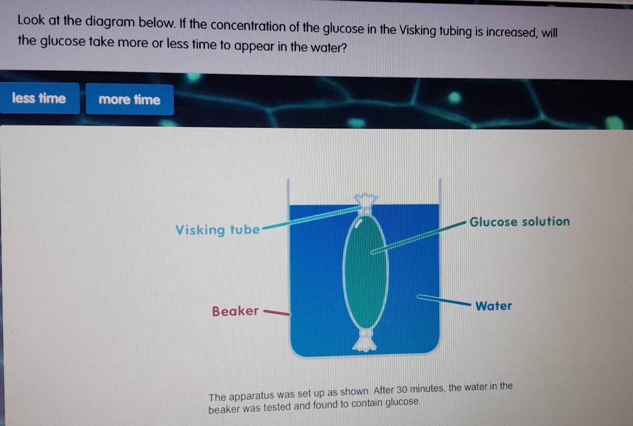 Solved: Look at the diagram below. If the concentration of the glucose ...