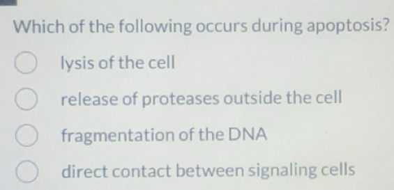 Solved: Which of the following occurs during apoptosis? lysis of the ...