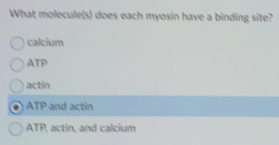 Solved: What molecule(s) does each myosin have a binding site? calcium ...