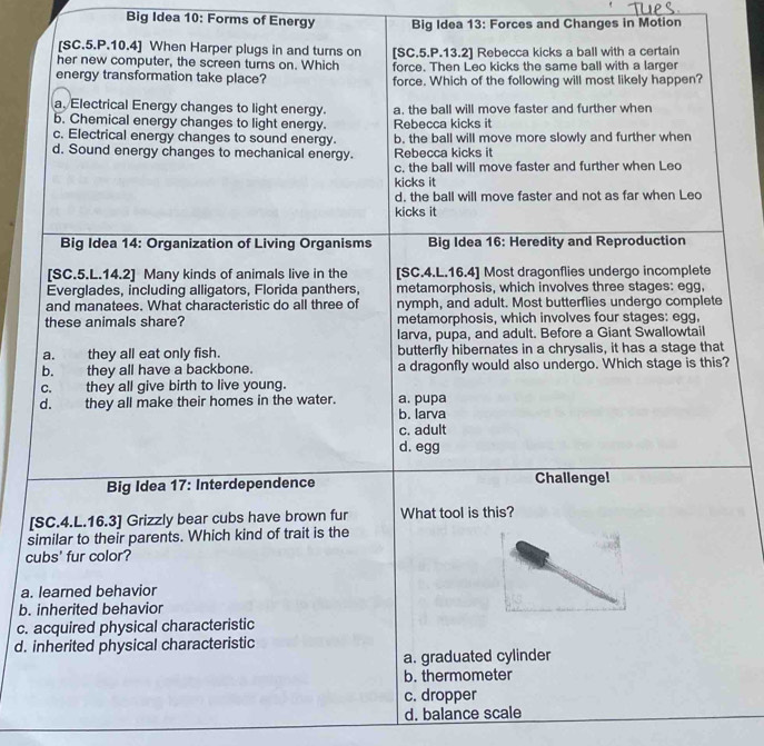 Solved: Big Idea 10: Forms of Energy Big Idea 13: Forces and Changes in ...