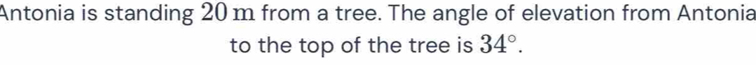 Solved: Antonia is standing 20 m from a tree. The angle of elevation ...