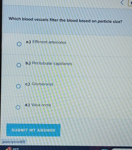 Solved: Which blood vessels filter the blood based on particle size? a ...