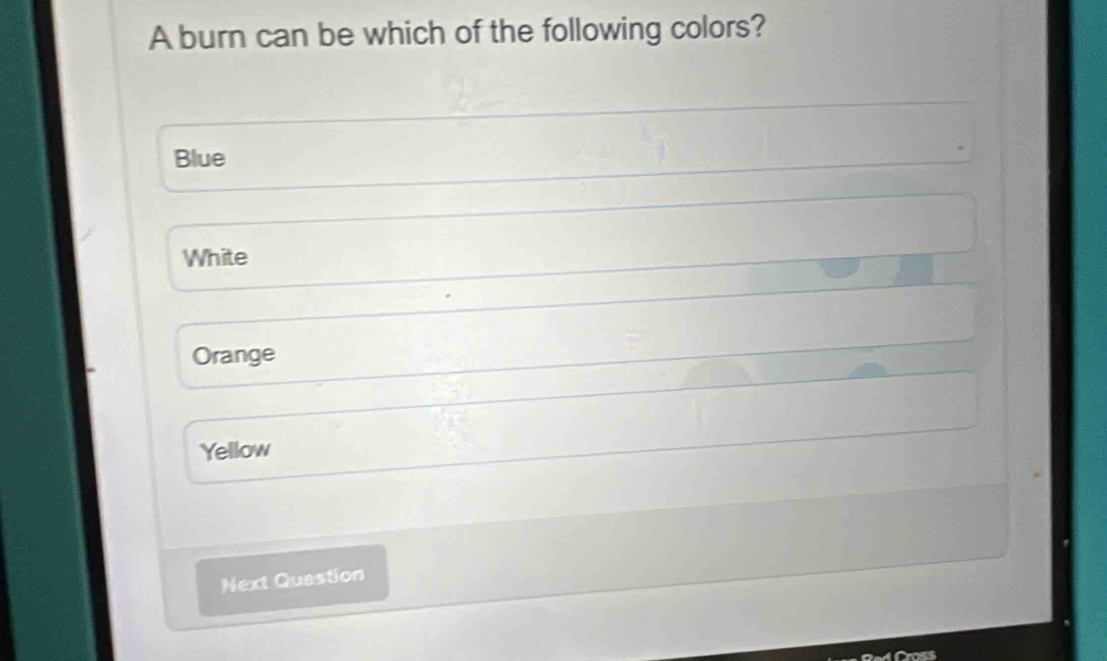 Solved: A burn can be which of the following colors? Blue White Orange ...