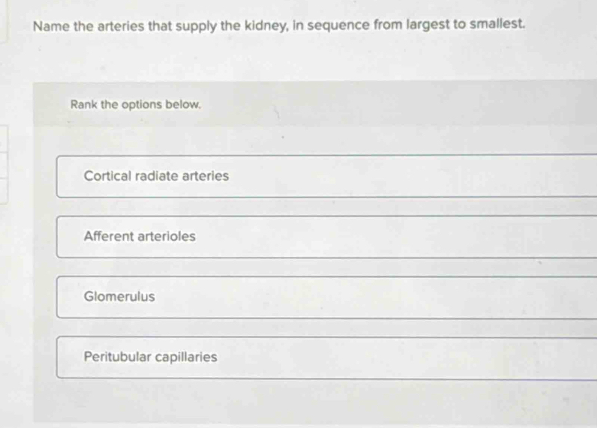 Solved: Name the arteries that supply the kidney, in sequence from ...