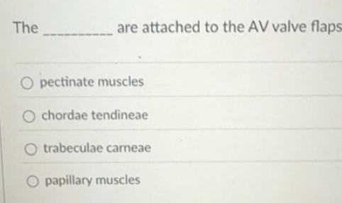 Solved: The_ are attached to the AV valve flaps pectinate muscles ...