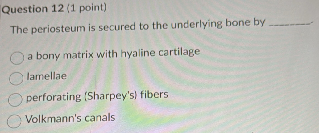 Solved: The periosteum is secured to the underlying bone by_ . a bony ...