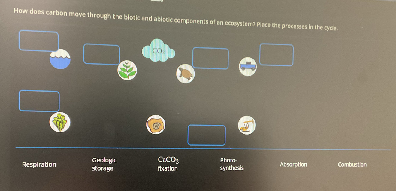 Résolu :How does carbon move through the biotic and ablotic components ...