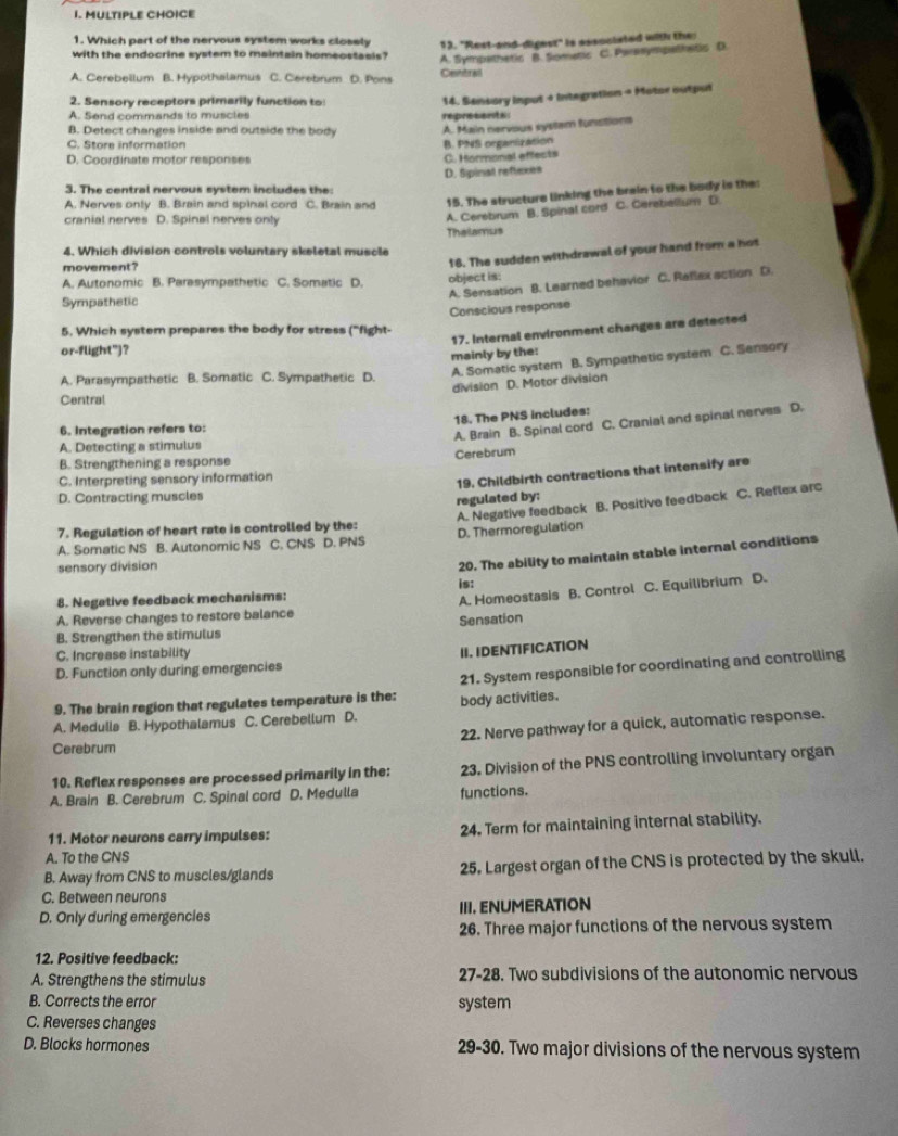 Solved: Which part of the nervous system works closely with the ...