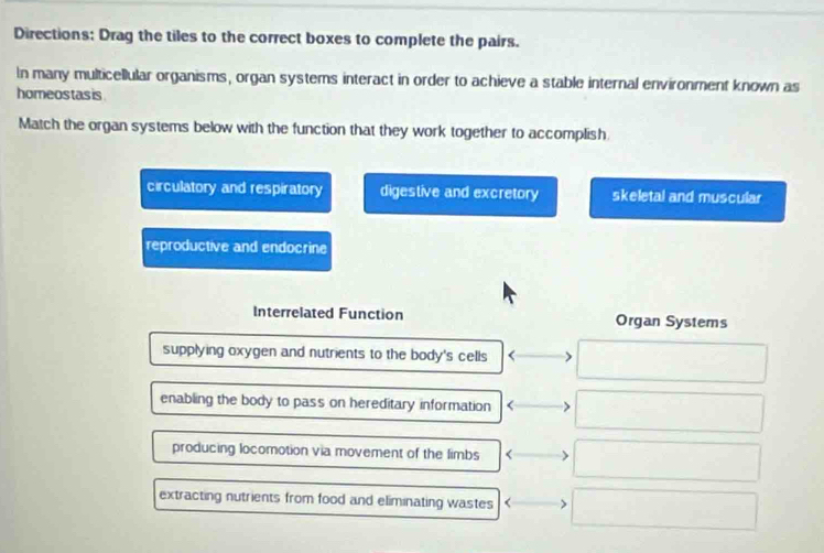 Solved: Directions: Drag the tiles to the correct boxes to complete the ...