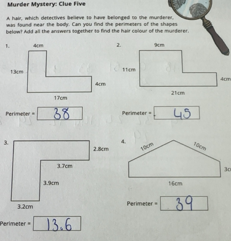 Solved: Murder Mystery: Clue Five A hair, which detectives believe to ...