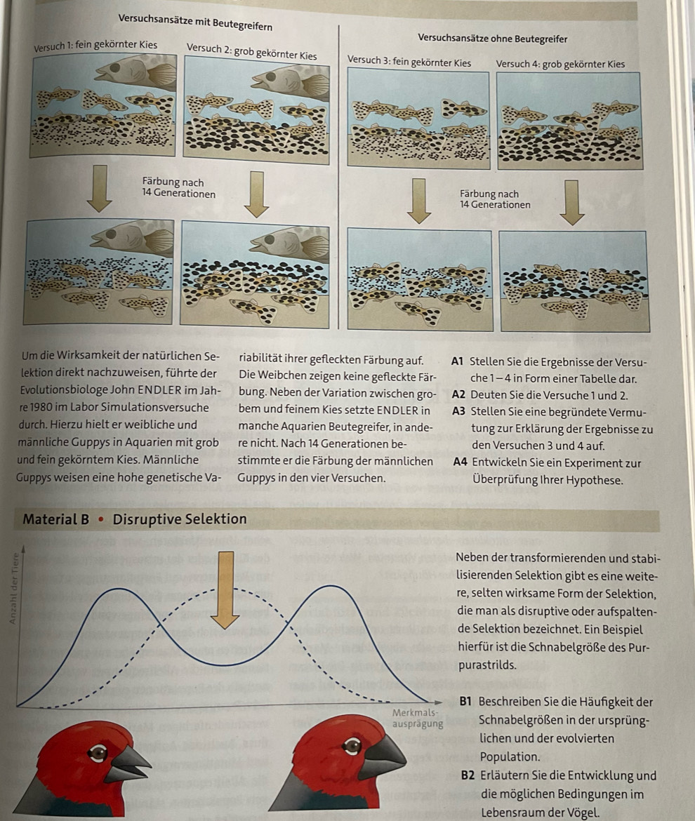 Gelöst:Versuch Um die Wirksamkeit der natürlichen Se- riabilität ihrer ...