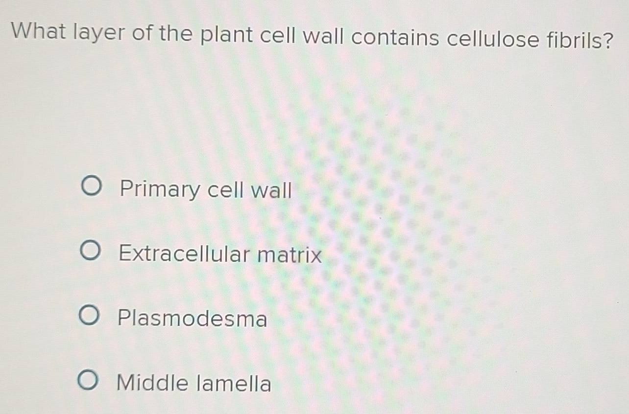 Solved: What layer of the plant cell wall contains cellulose fibrils? Primary cell wall ...
