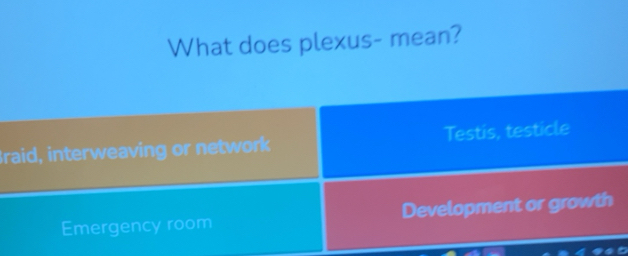 Solved: What does plexus- mean? Braid, interweaving or network Testis ...