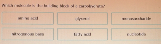 Solved: Which molecule is the building block of a carbohydrate? amino ...