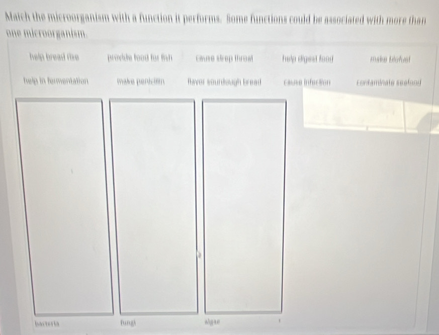 Solved: Match the microorganism with a function it performs. Some ...