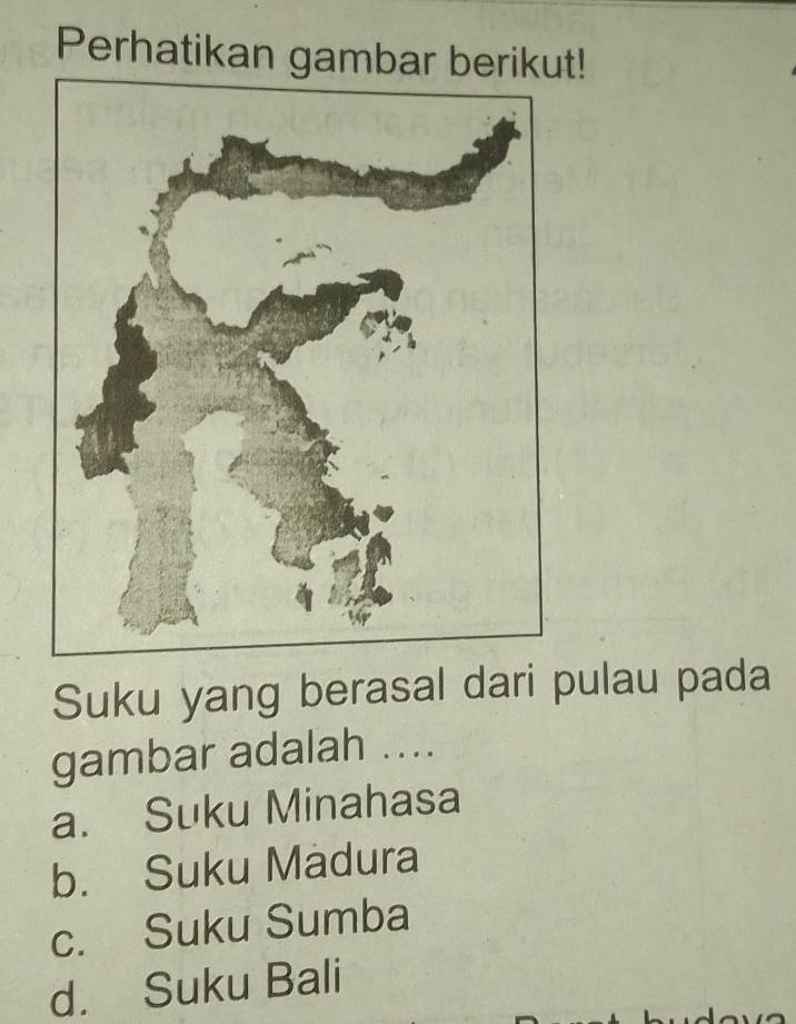 Telah dijawab:Perhatikan gambar berikut! Suku yang berasal dari pulau ...