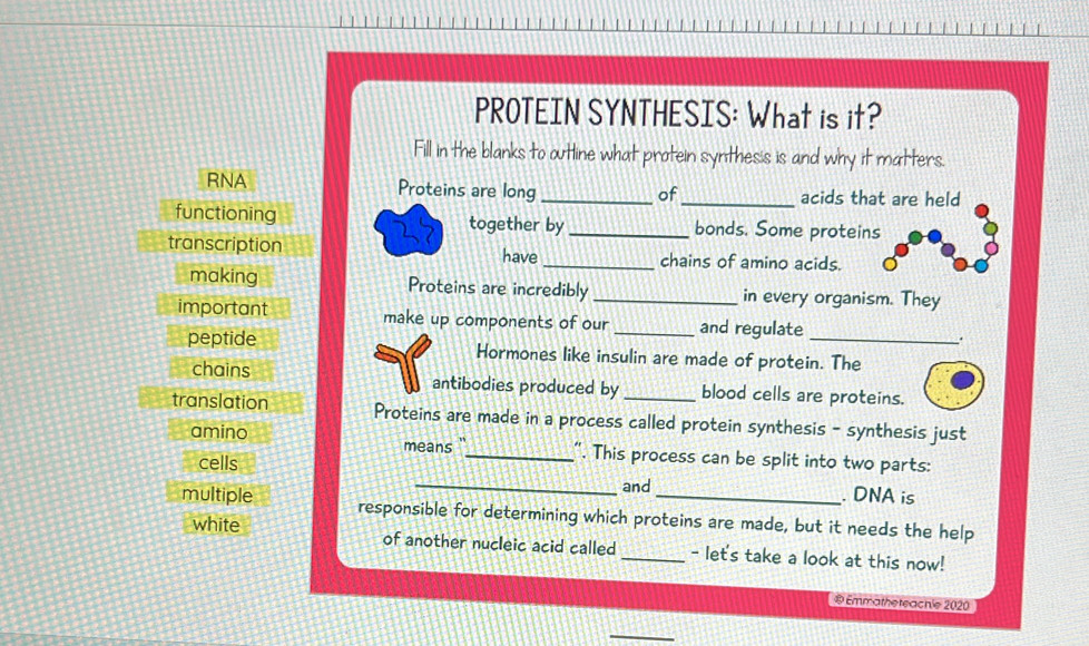 Solved: PROTEIN SYNTHESIS: What is it? Fill in the blanks to outline ...