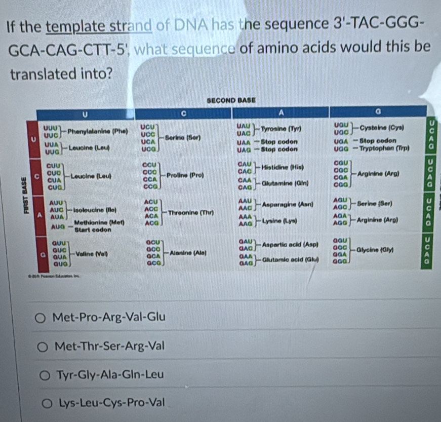 Solved: If the template strand of DNA has the sequence 3'-TAC-G GG- GCA ...