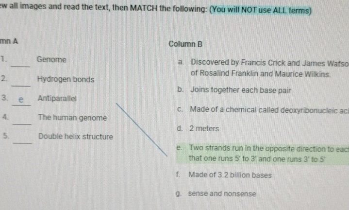 Solved: ew all images and read the text, then MATCH the following: (You ...