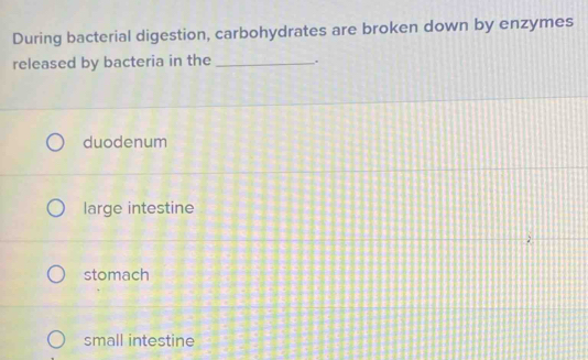 Solved: During bacterial digestion, carbohydrates are broken down by ...