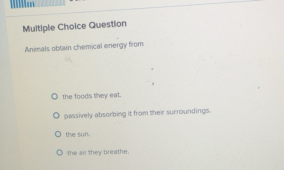 Solved: Question Animals obtain chemical energy from the foods they eat ...