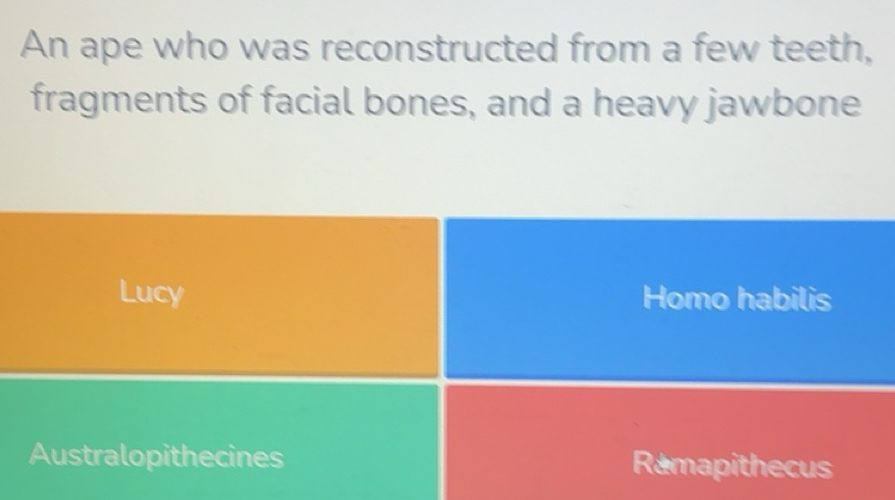 Solved: An ape who was reconstructed from a few teeth, fragments of ...
