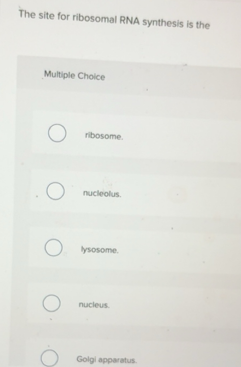 Solved: The site for ribosomal RNA synthesis is the Multiple Choice ...