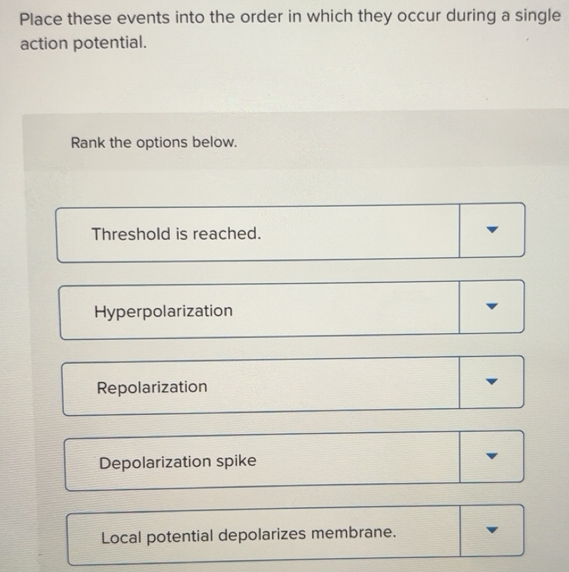 Solved: Place these events into the order in which they occur during a ...