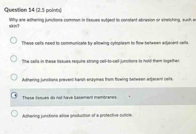 Solved: Why are adhering junctions common in tissues subject to ...