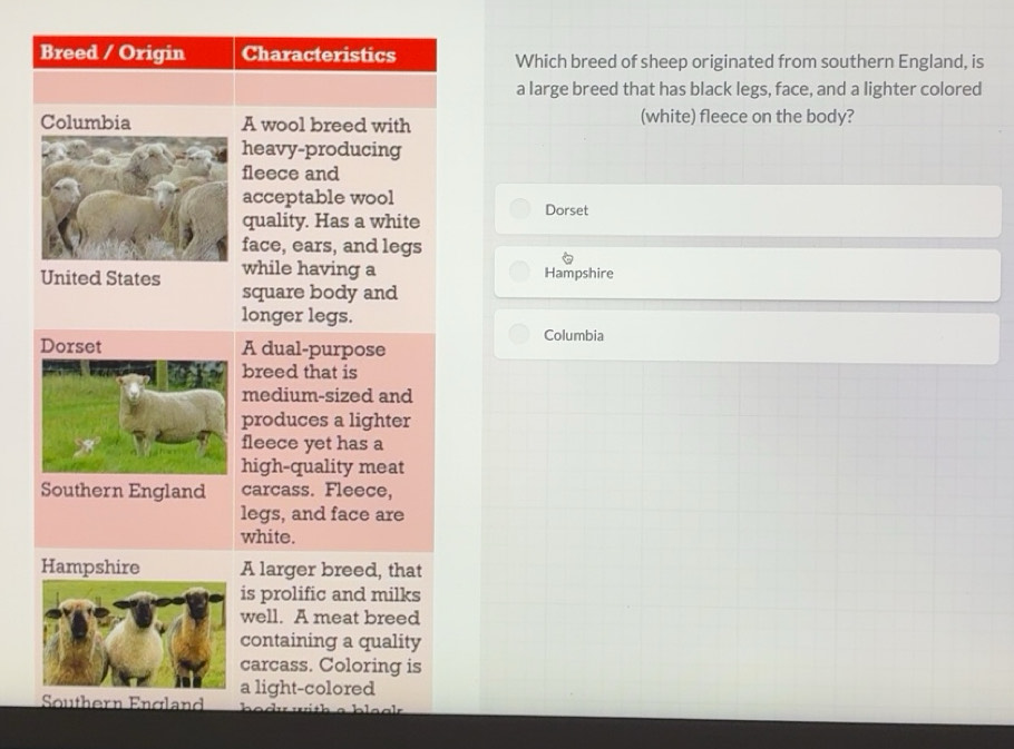 Solved: Breed / Origin Characteristics Which breed of sheep originated ...