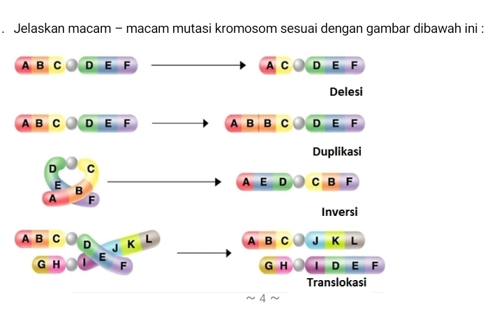 Telah dijawab:Jelaskan macam - macam mutasi kromosom sesuai dengan ...