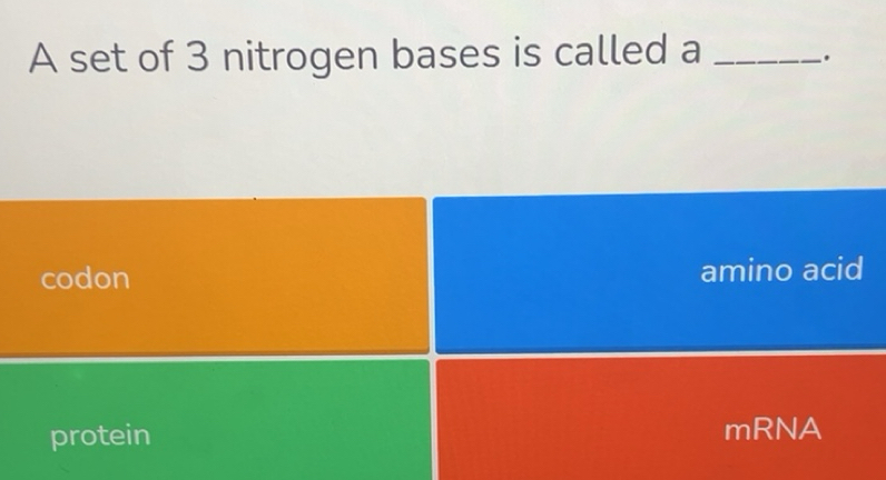 Solved: A set of 3 nitrogen bases is called a_ . codon amino acid ...