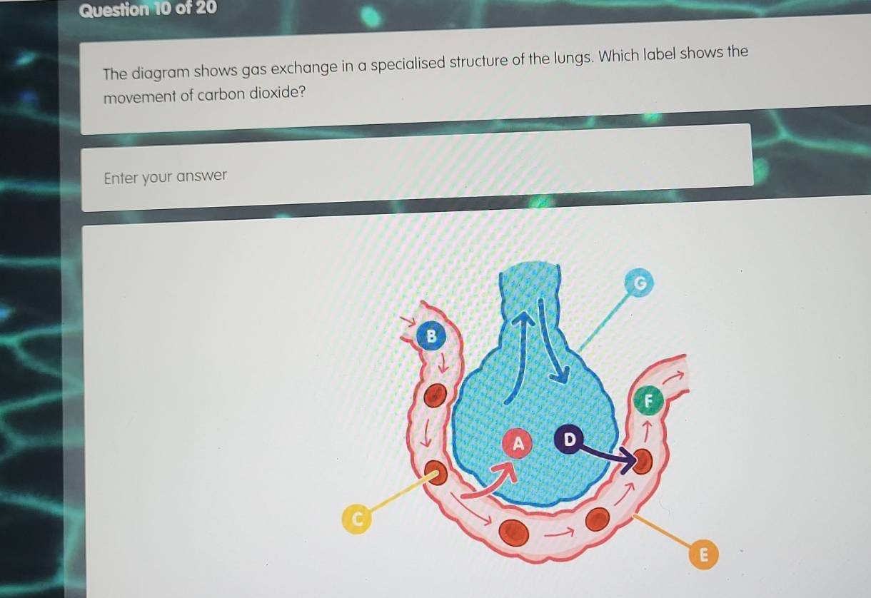 Solved: The diagram shows gas exchange in a specialised structure of ...