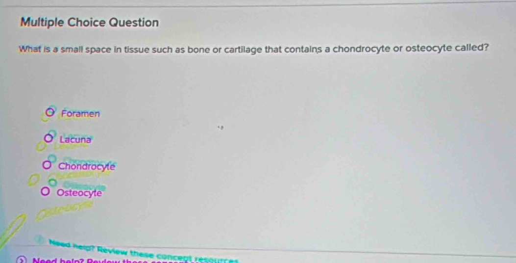 Solved: Question What is a small space in tissue such as bone or ...
