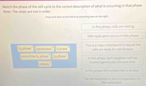 Solved: Match the phase of the cell cycle to the correct description of what is occurring in ...
