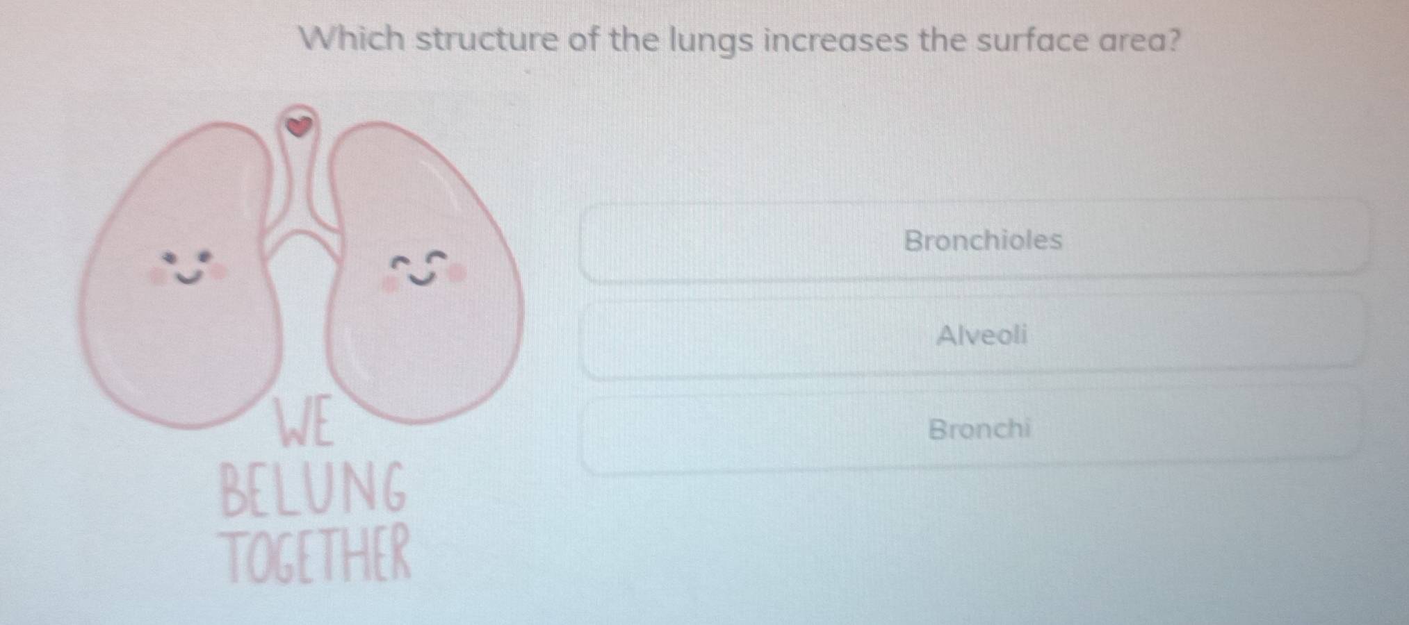 Solved: Which structure of the lungs increases the surface area ...