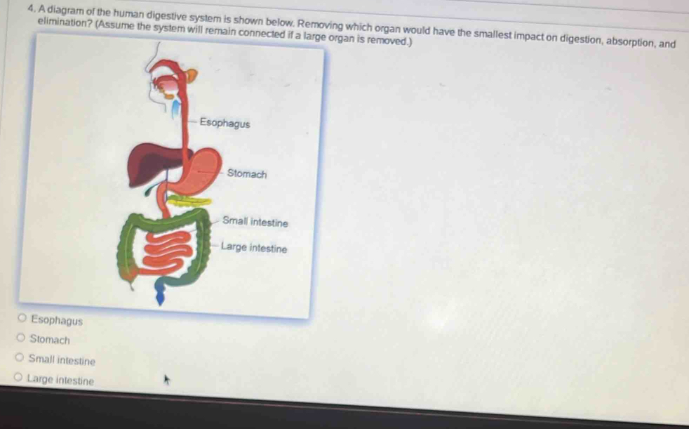 Solved: A diagram of the human digestive system is shown below ...