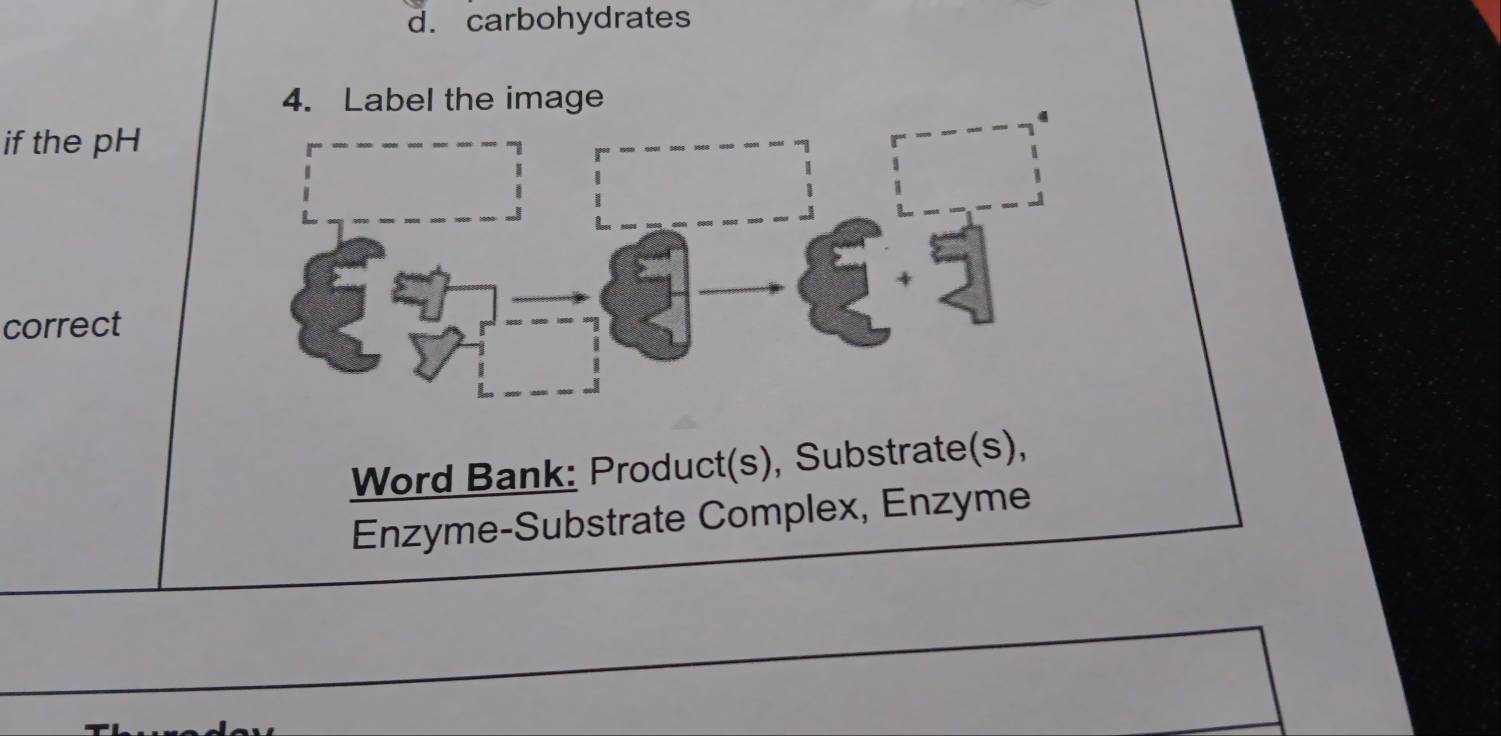 Solved: d. carbohydrates 4. Label the image if the pH correct Word Bank ...