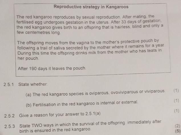 Gelöst:Reproductive strategy in Kangaroos The red kangaroo reproduces ...