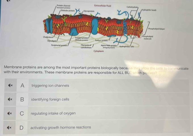 Solved: Membrane proteins are among the most important proteins ...