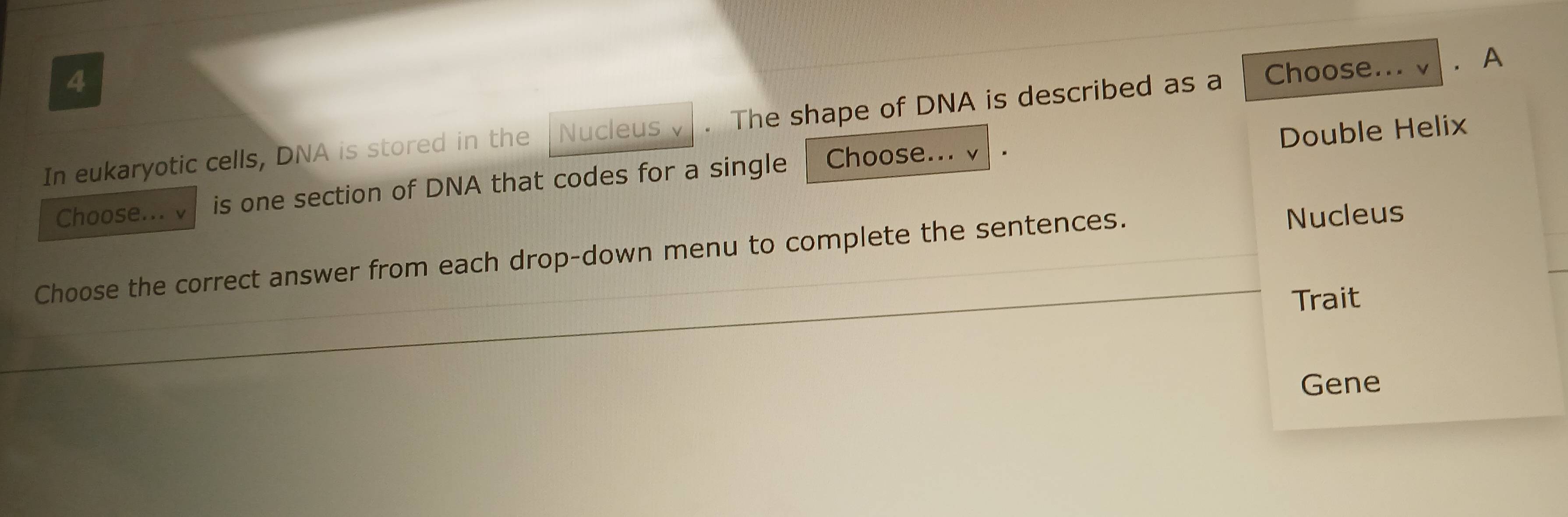 Solved: In eukaryotic cells, DNA is stored in the Nucleus v. The shape ...